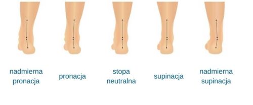Supinacja i pronacja - o co w tym chodzi? - TrenujBieg.pl
